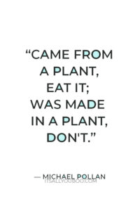 This is How to Start Healthy Eating Habits and Quit Junk Food