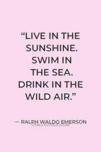 100+ Short Summer Vibes Quotes and Captions
